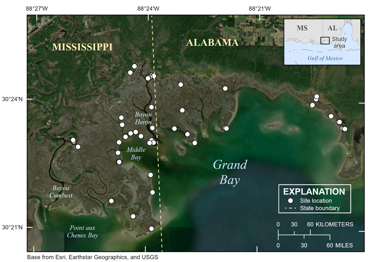 Data Release - Peat Thickness Measurements From Grand Bay, Mississippi ...
