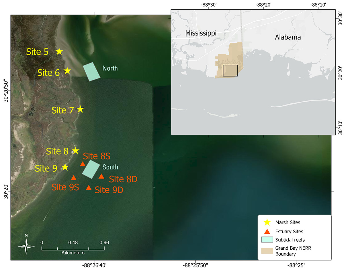 Data Release - Shore Proximal Marsh Sediment Deposition and Ancillary ...