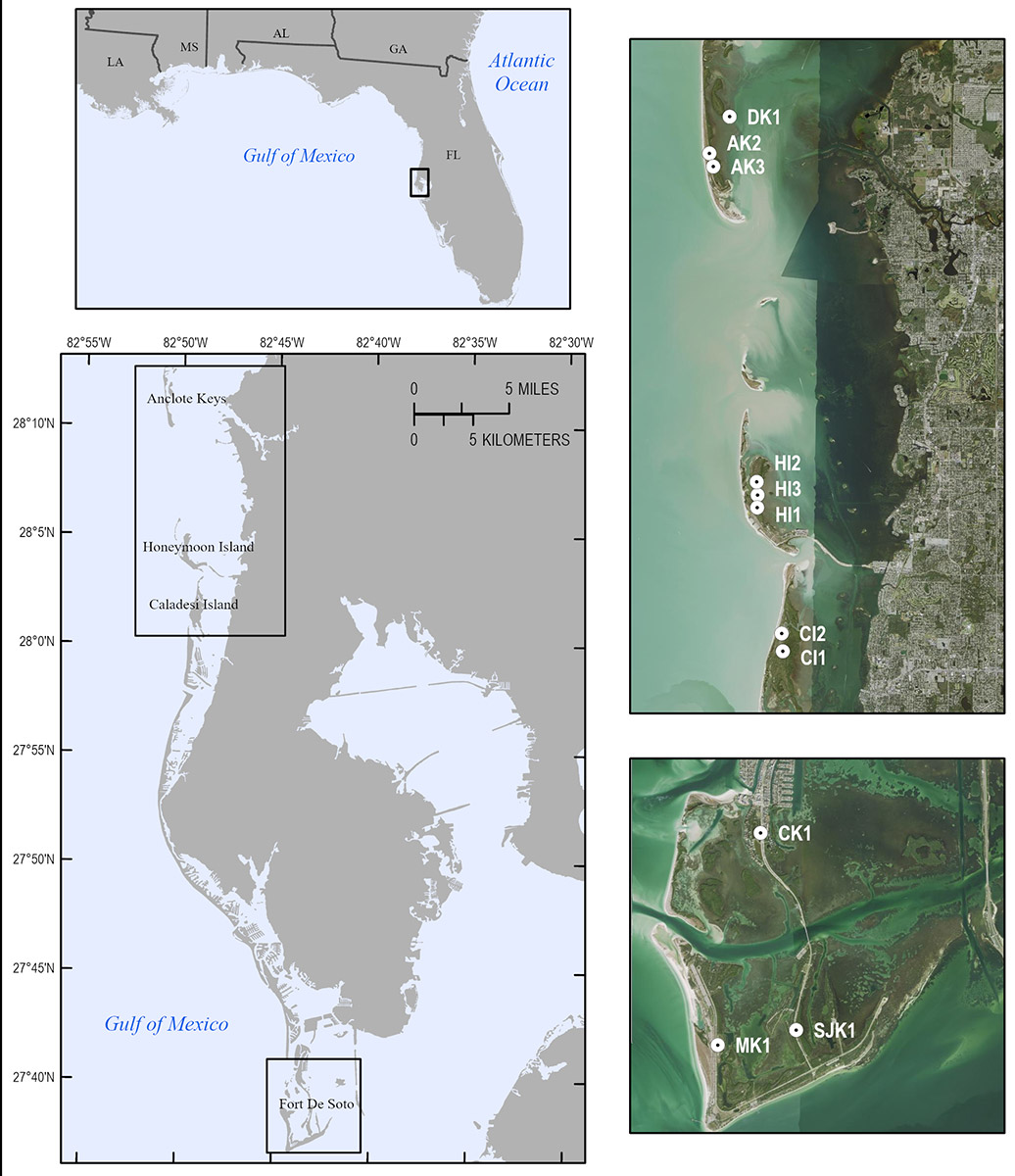 Data Release - Sediment Data from Vibracores Collected in 2021 From ...
