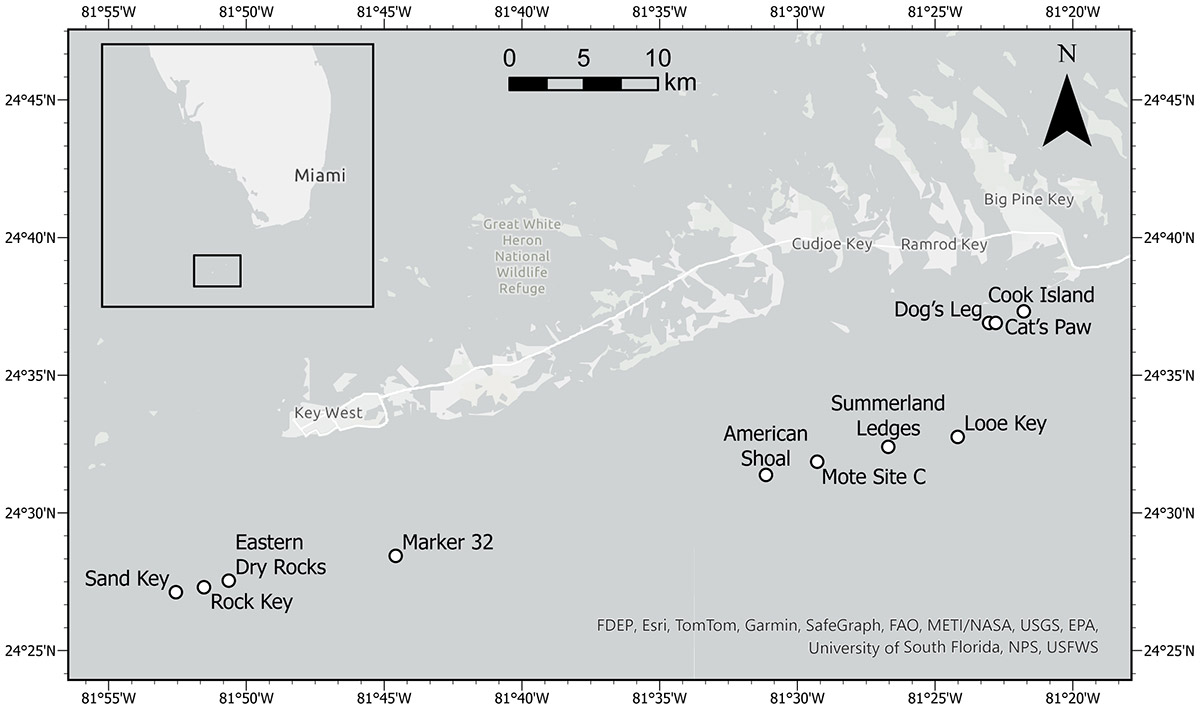 Data Release - Diver-Based Structure-from-Motion Imagery From Coral ...