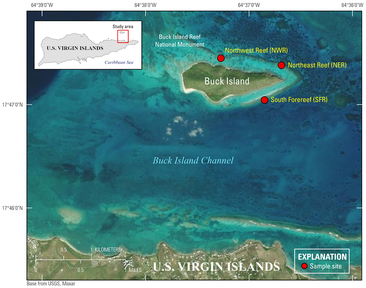 Data Release - Experimental Coral-Growth Data and Time-Series Imagery ...